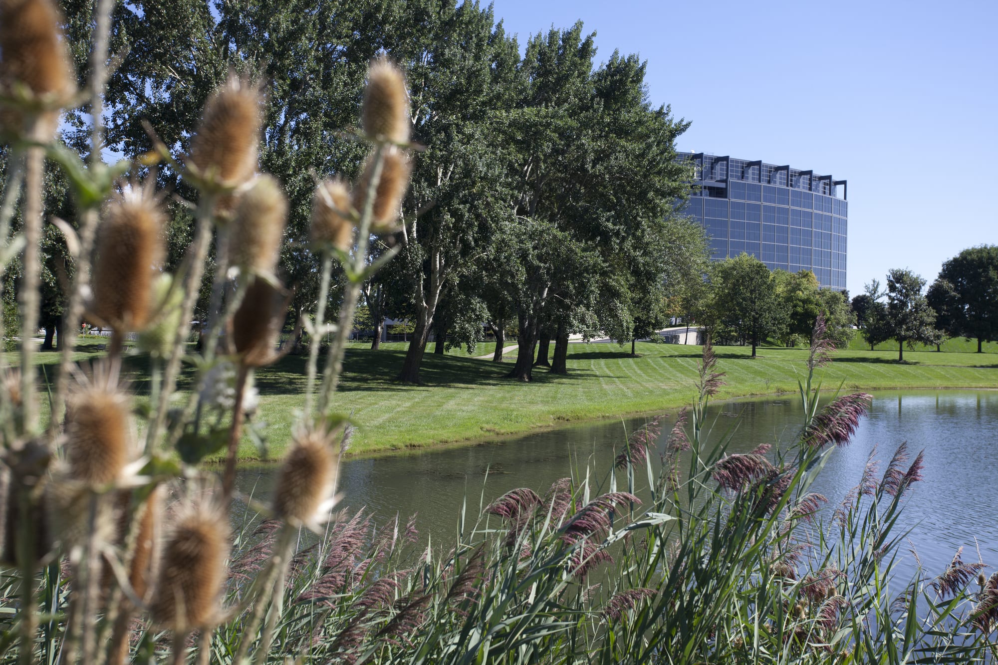 Naperville Park District - Naperville Area Chamber of Commerce